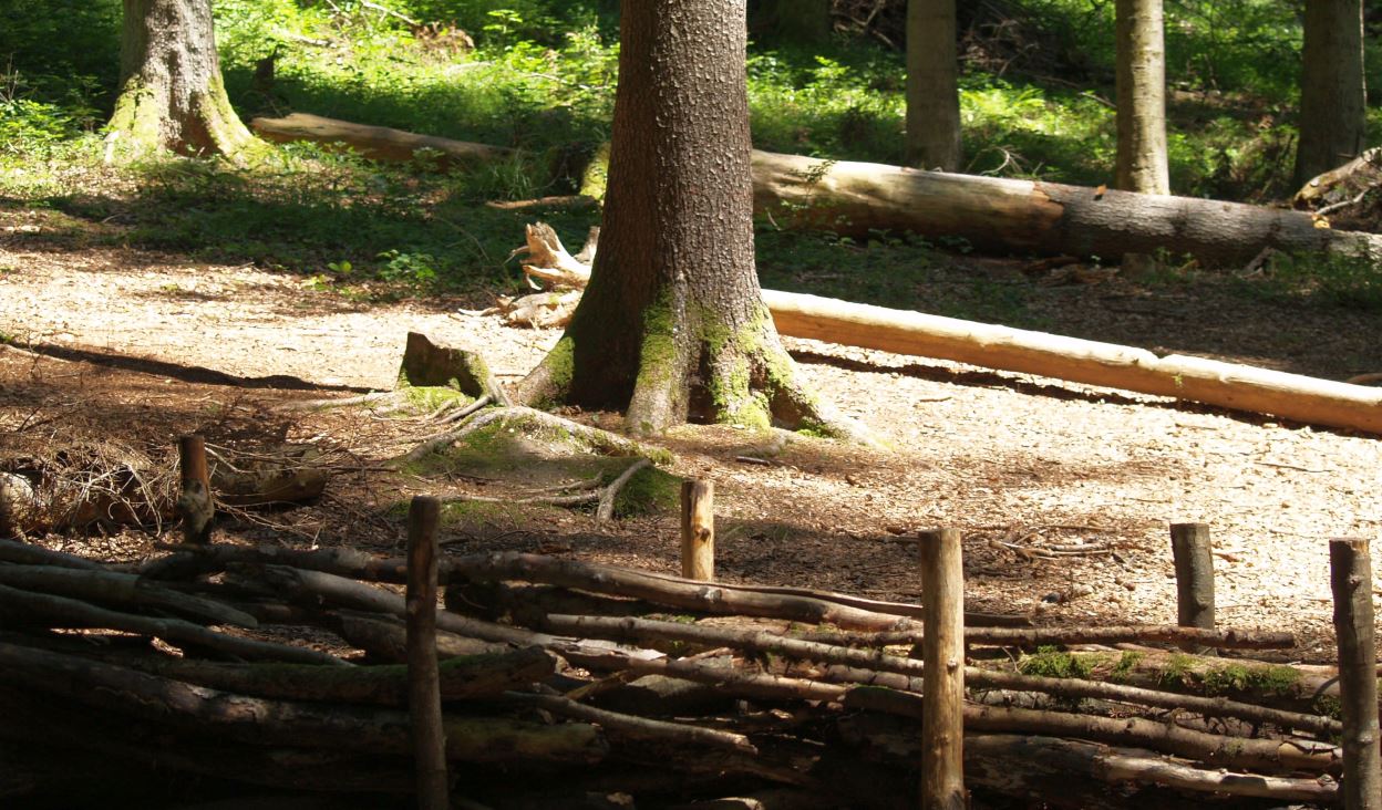 Neue Informations-Plattform «Freizeit und Erholung im Wald ...